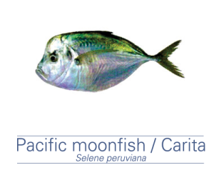 Carita / Pacific Moonfish – FreshFish